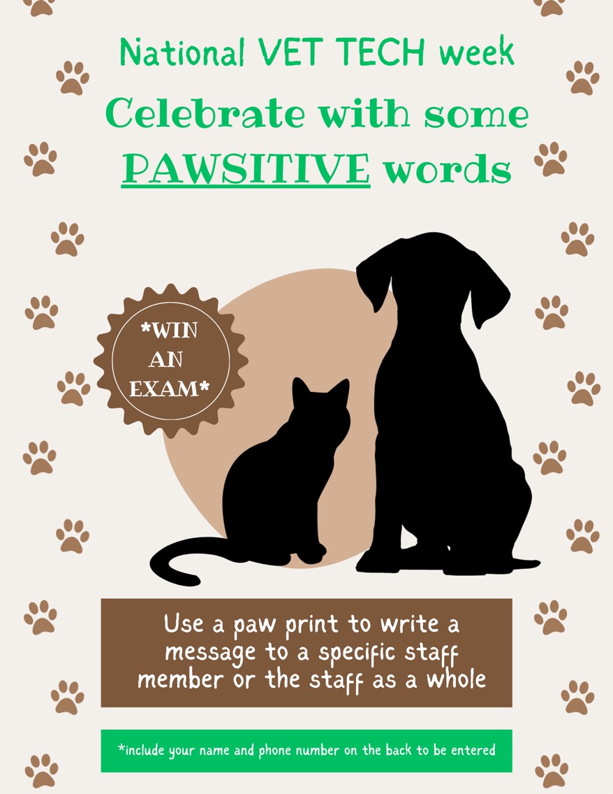 Help Us Celebrate National Vet Tech Week | Pine Hollow Veterinary Services
